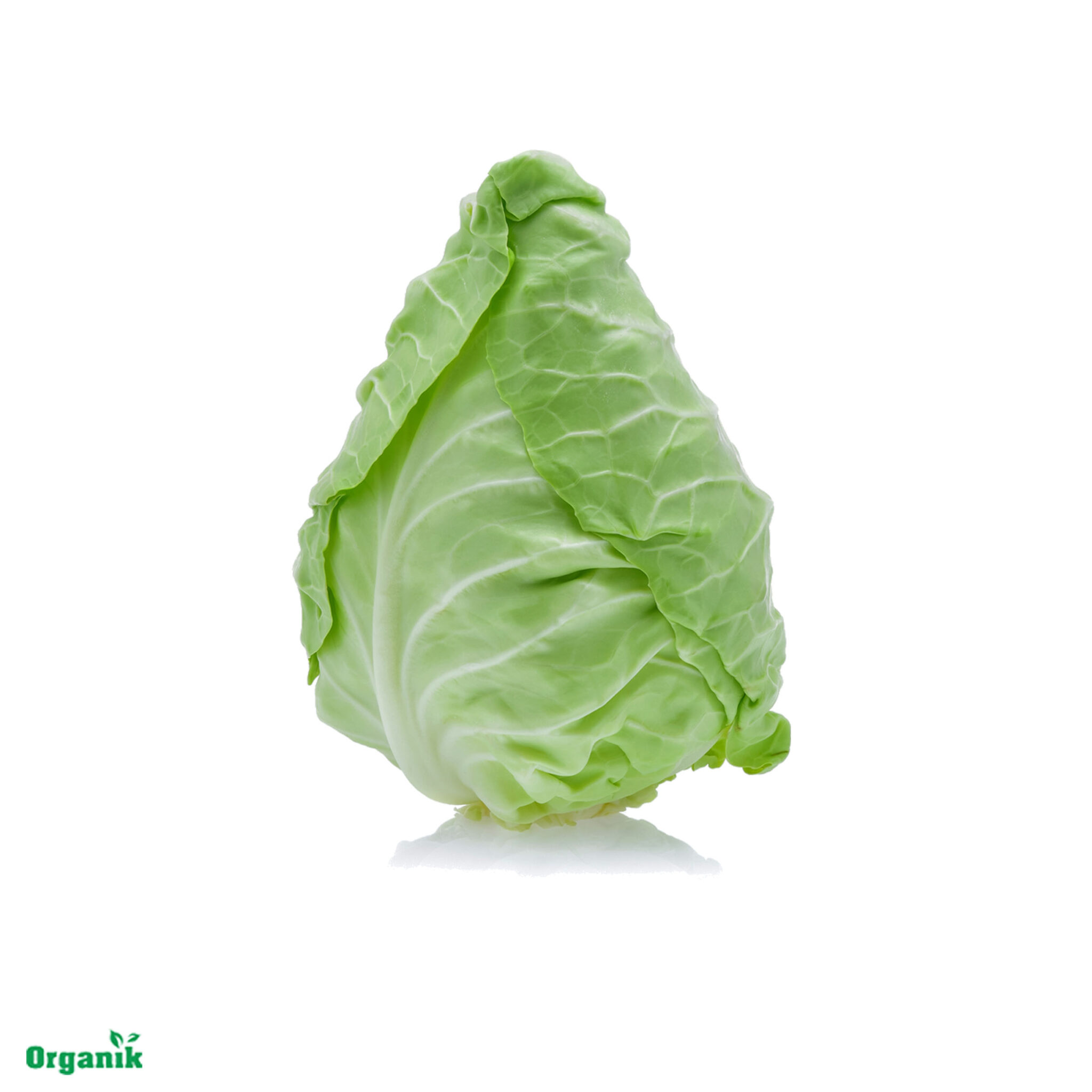 ORGANIK – Eat Organic. Eat Organik